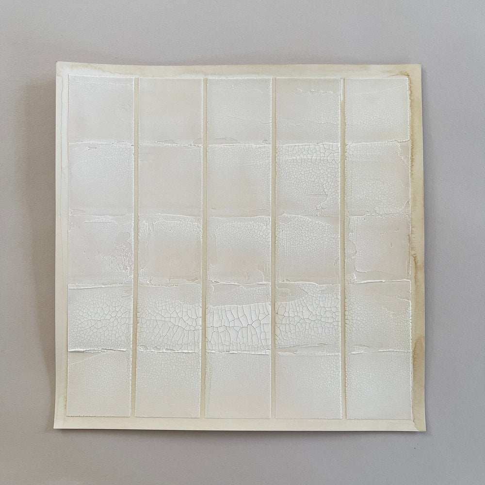 Studies – Ninos Studio